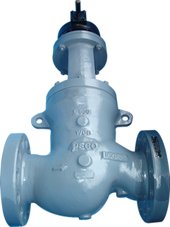 pecovalves private limited